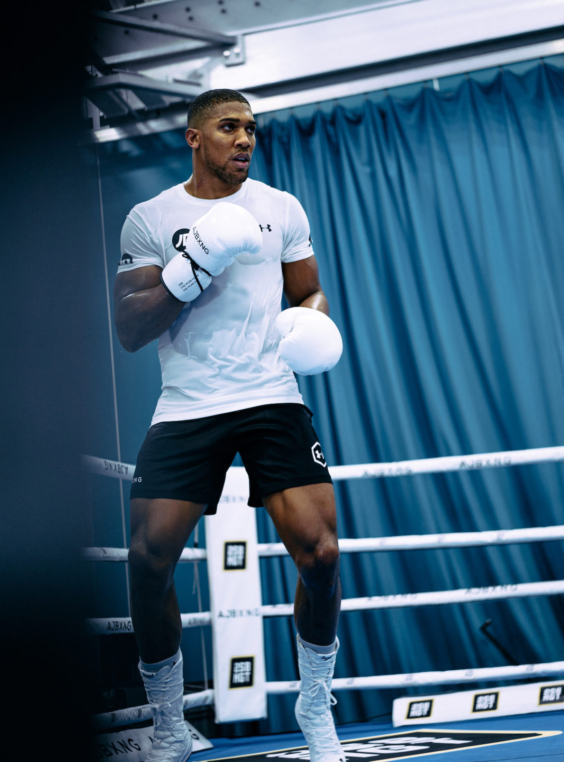 Anthony Joshua teams with JD to Launch #JDChampsHonours List – PAUSE ...